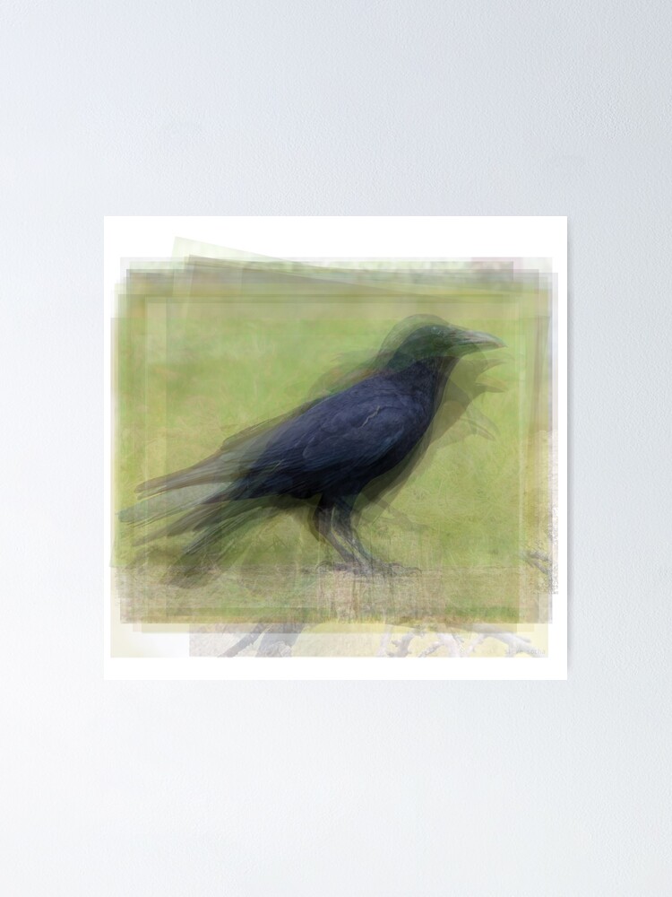 "Crow Overlay Art" Poster for Sale by overlay-art | Redbubble