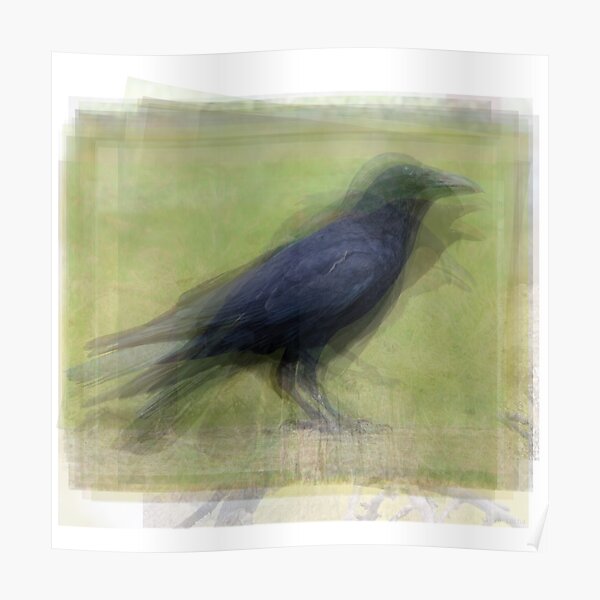"Crow Overlay Art" Poster for Sale by overlay-art | Redbubble