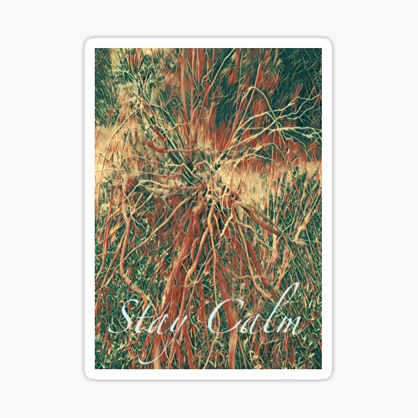 Frazzle Gifts & Merchandise | Redbubble