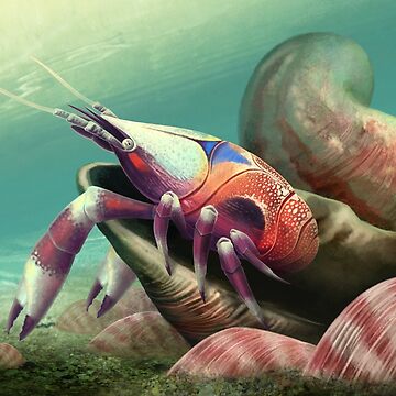 "Platykotta akaina" Art Board Print for Sale by Franz Anthony | Redbubble