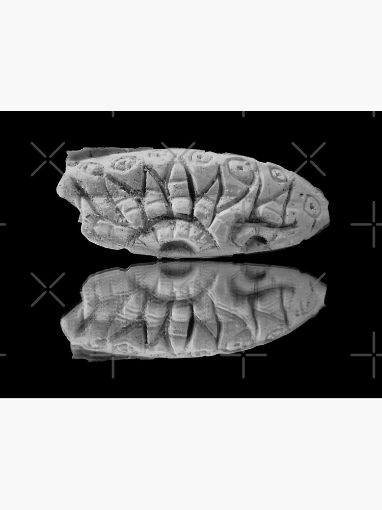 Cuttlefish” | In Black and White" Poster for Sale by LiseHoltArt ...