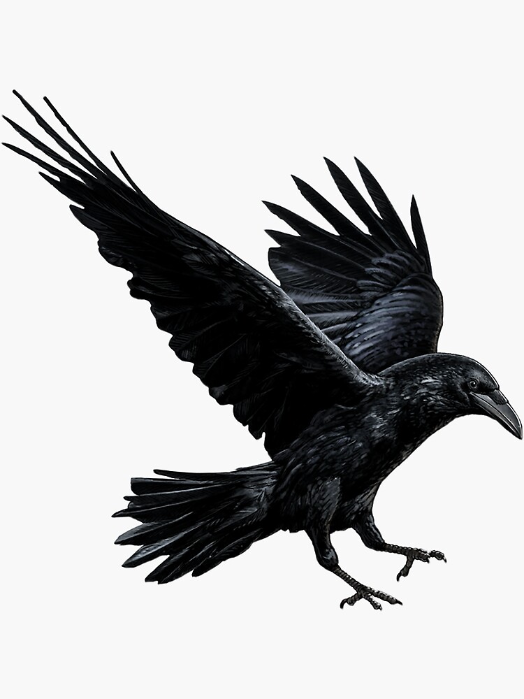 "raven" Sticker for Sale by Yaa2 | Redbubble