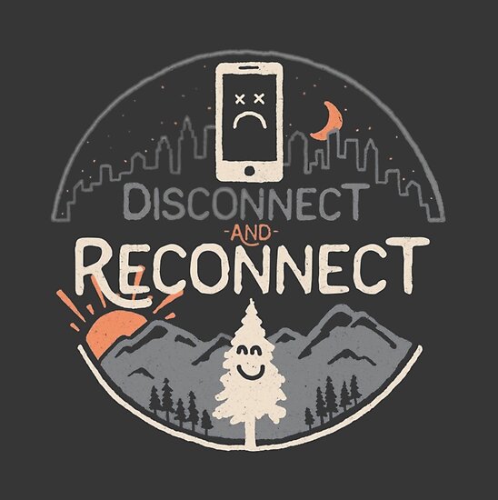 "Disconnect and Reconnect" Poster by capironman | Redbubble