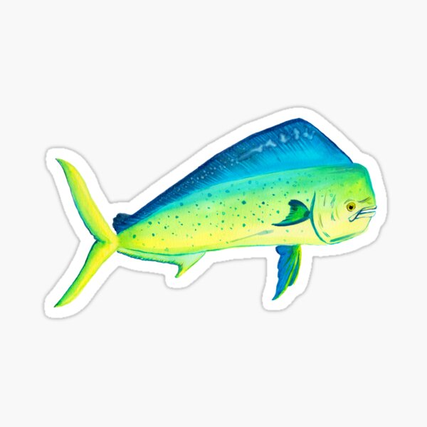 "Mahi Mahi Catch of the Day" Sticker for Sale by MandatoryArt | Redbubble