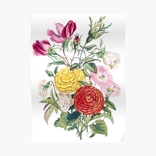 "Vintage flower bouquet" Poster for Sale by WowSuchPanda | Redbubble