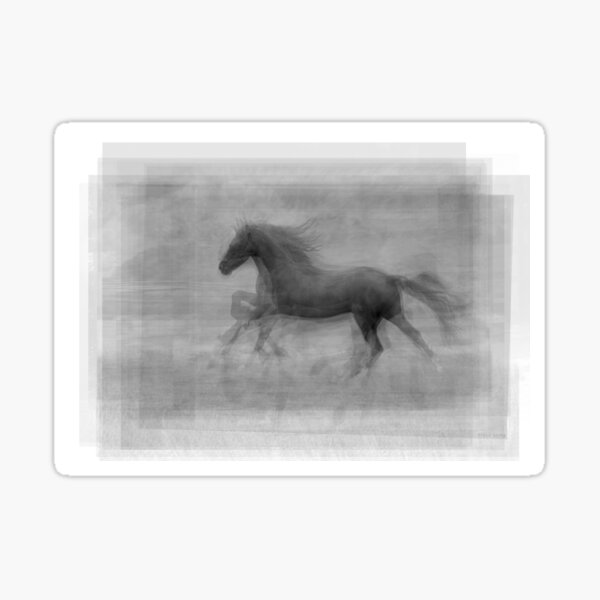 "Running Horse Overlay" Sticker for Sale by overlay-art | Redbubble