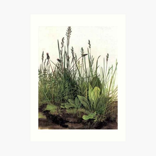 "The Great (Large) Piece of Turf - Albrecht Durer Classic Famous Art ...