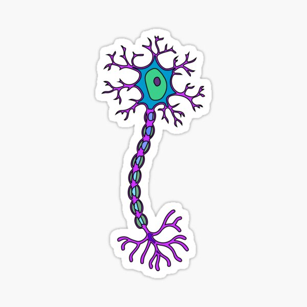 "Brain Neuron Science Colorful Design " Sticker for Sale by Jmolone ...