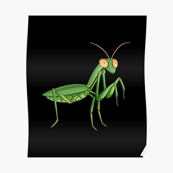 Art & Collectibles Nature Poster mantis Print Retro Home Decor Flower ...