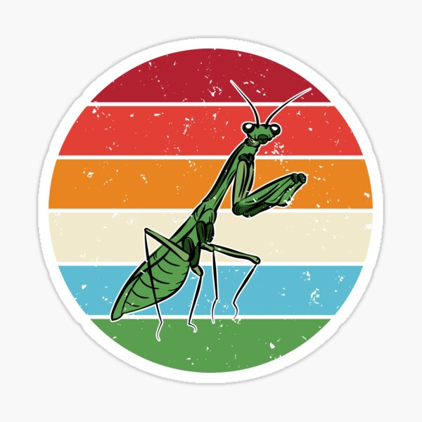 "Funny Retro Vintage Praying Mantis" Sticker by jcorres | Redbubble