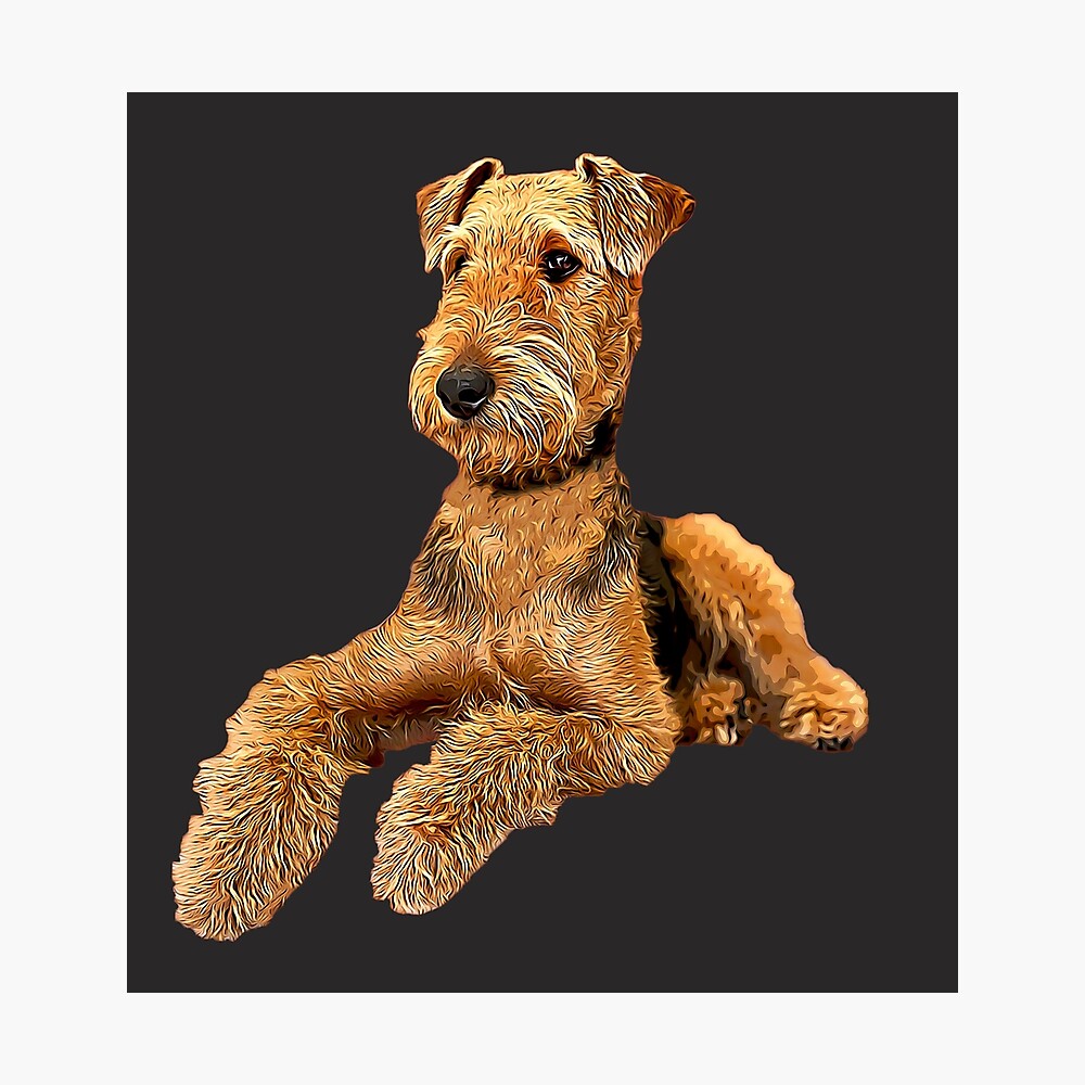 BritishEnglish Poster Size Print-3 Terrier Dogs Art & Collectibles ...