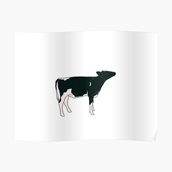 "Holstein Heifer " Poster by shelovesducks | Redbubble