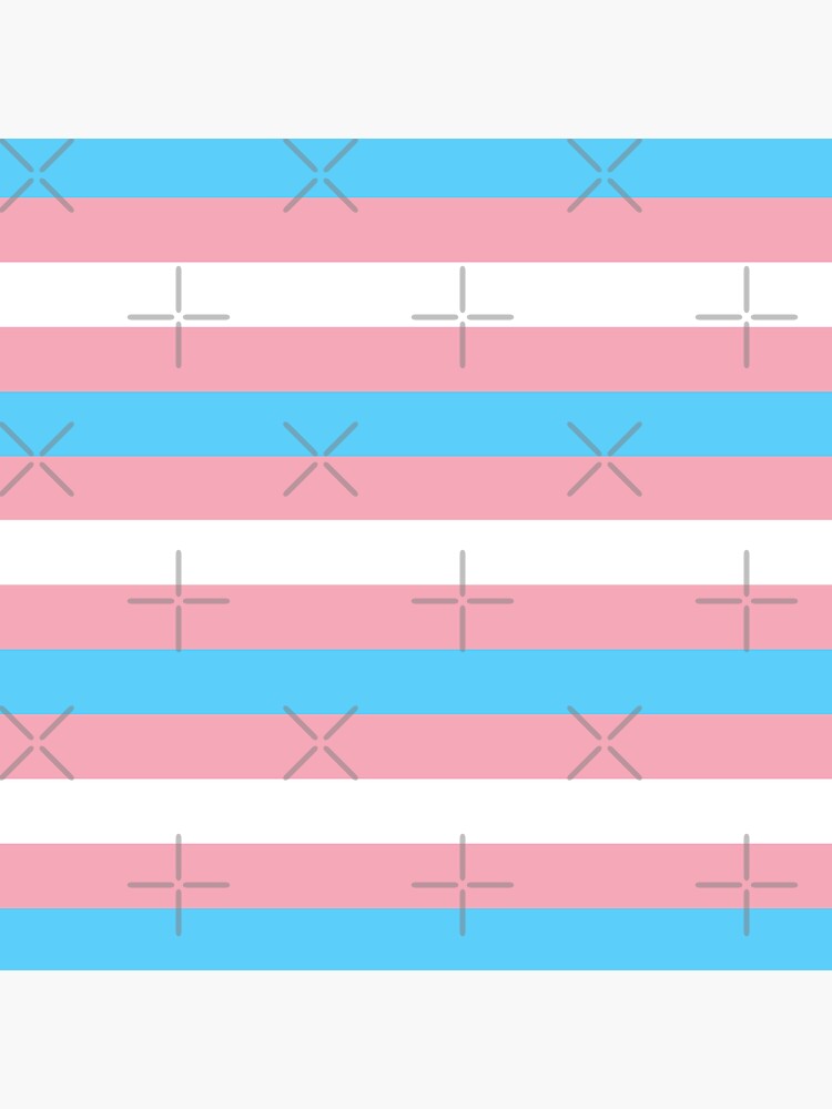 "Plain Trans Flag " Sticker for Sale by EllyBurg | Redbubble