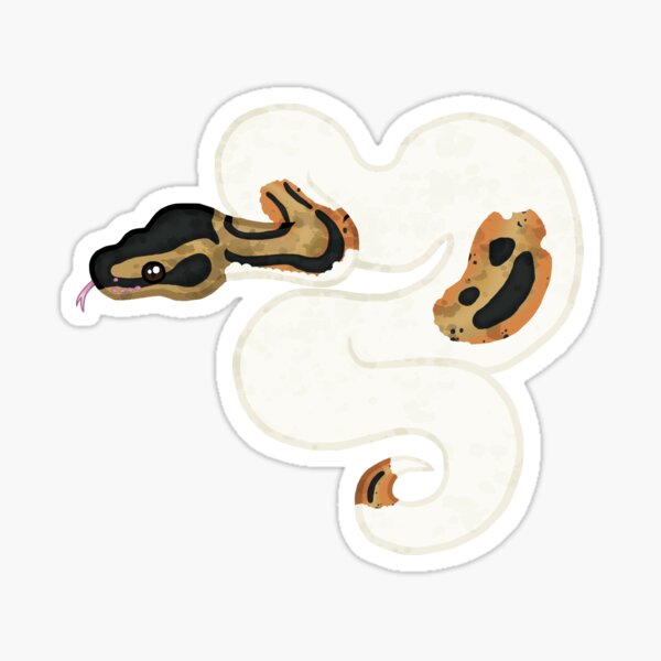 "Ball/Royal Python - Pied Morph" Sticker for Sale by biscuitbanana ...
