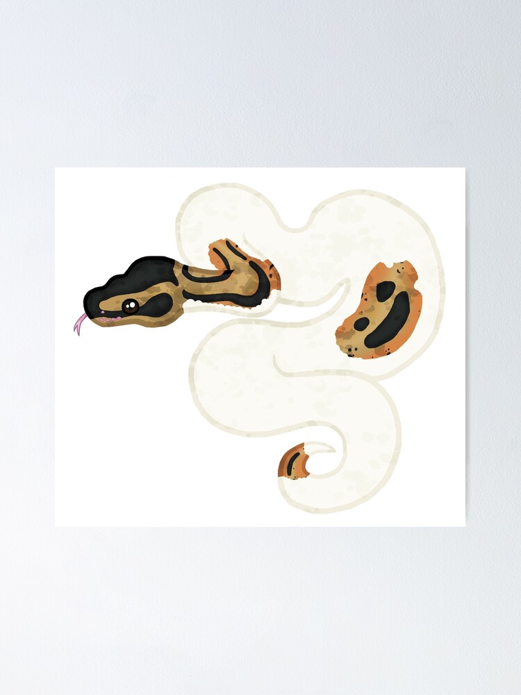 "Ball/Royal Python - Pied Morph" Poster by biscuitbanana | Redbubble