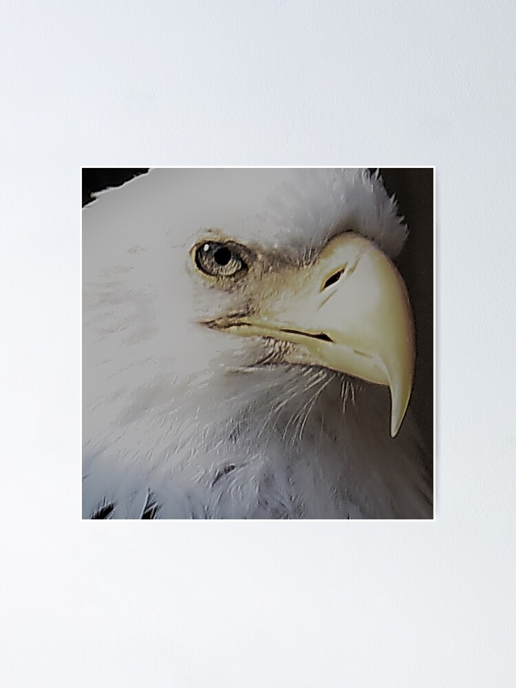 "Eagle Eye" Poster for Sale by Dai-Boo | Redbubble