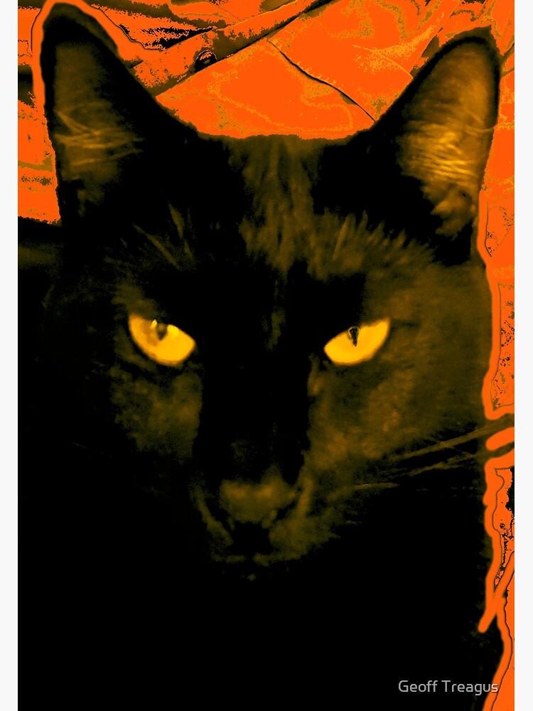 "Black Cat, Red Background" Art Print by GTreagus | Redbubble