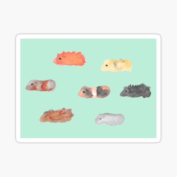 "Cute Guinea Pig Huddle" Sticker for Sale by thebumblebean | Redbubble