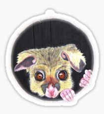 Possum: Stickers | Redbubble