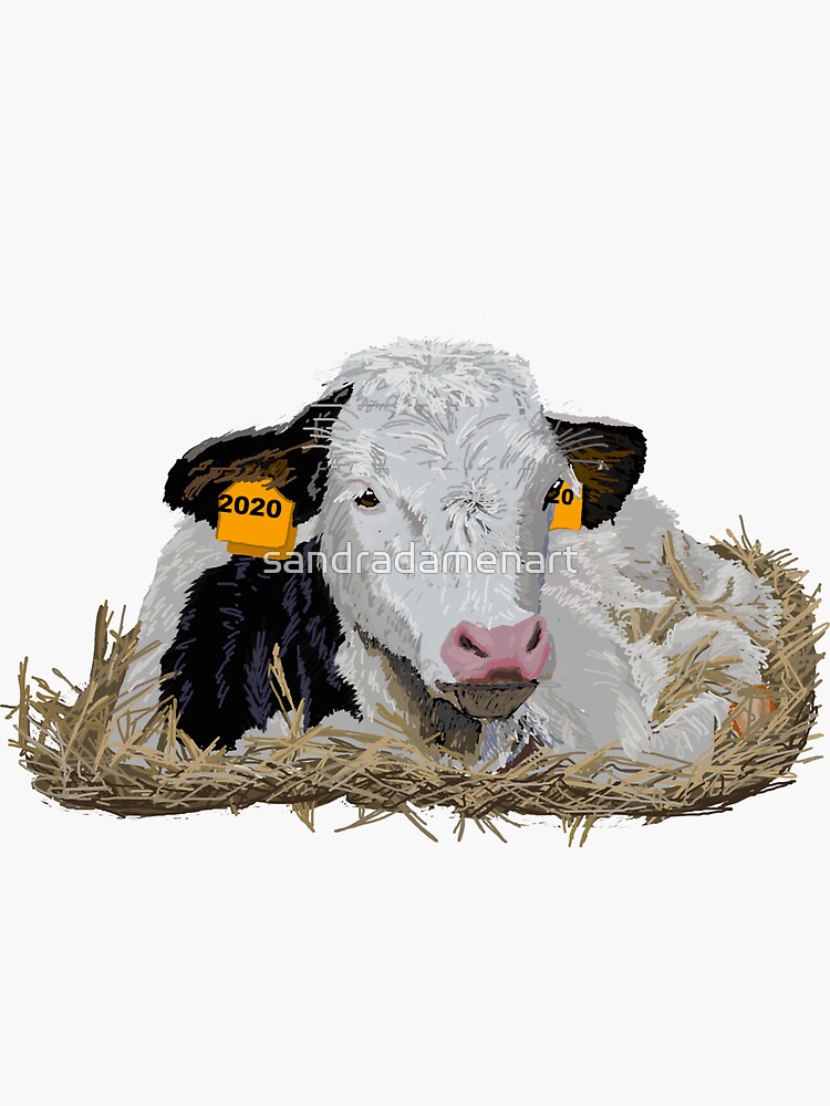 "Calf" Sticker by sandradamenart | Redbubble