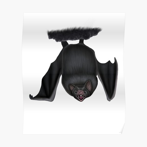 "Vampire Bat Hanging" Poster by troyanthonyart | Redbubble