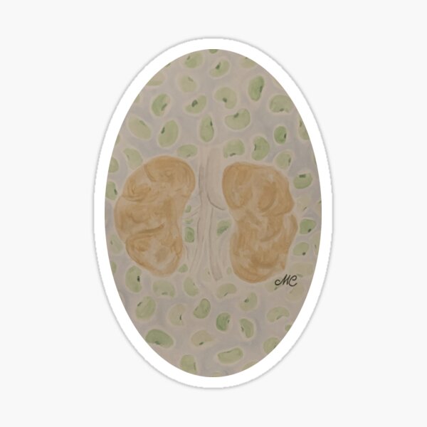 "Kidney Beans" Sticker by Visualsbymc | Redbubble