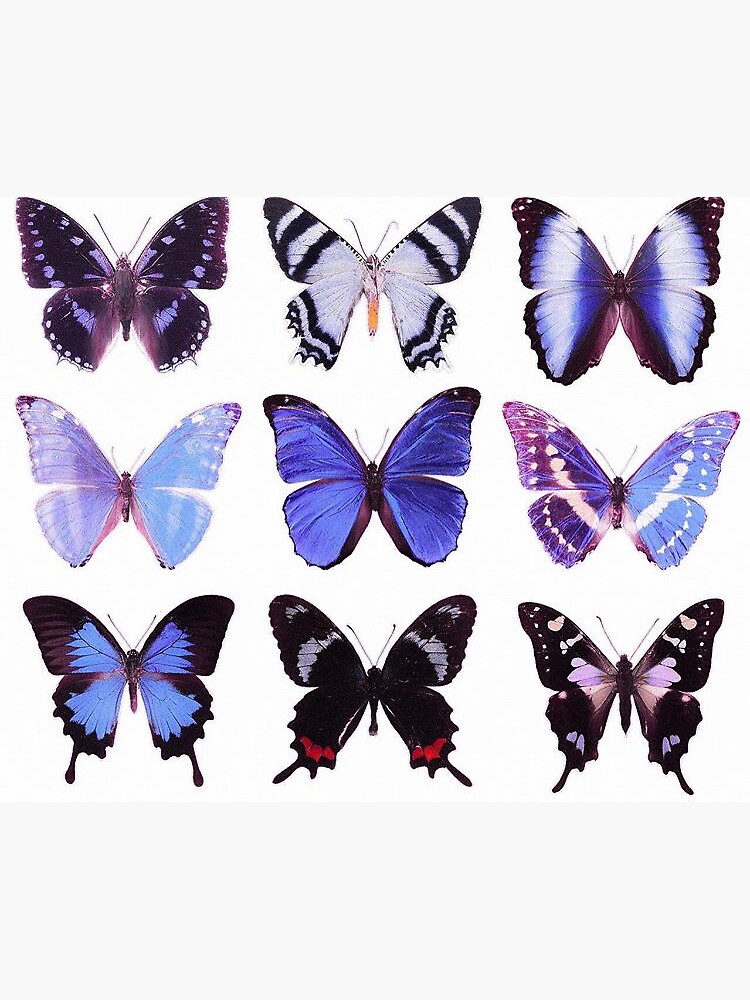 "Purple Butterfly Set " Sticker by PlayBunni | Redbubble