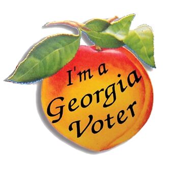 "I'm a Georgia Voter 2020" Sticker for Sale by bambi12525 | Redbubble