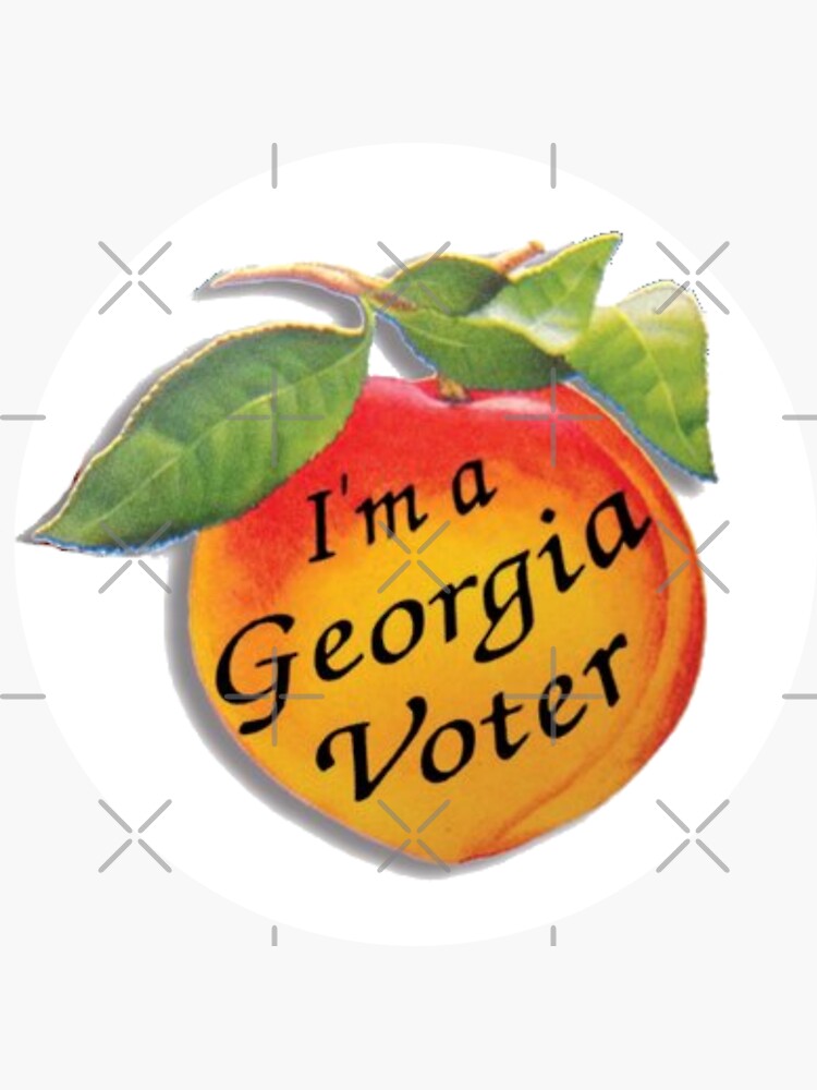 "I'm a Georgia Voter 2020" Sticker for Sale by bambi12525 | Redbubble