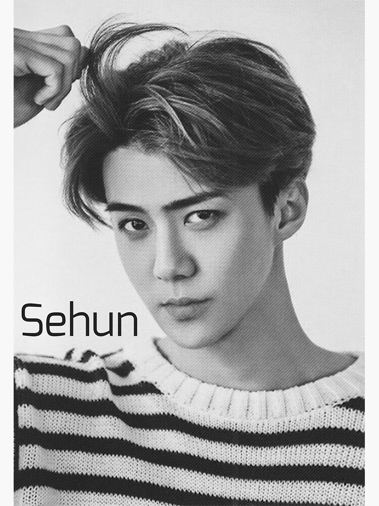 "EXO - Sehun" Sticker for Sale by BubbaBunny | Redbubble