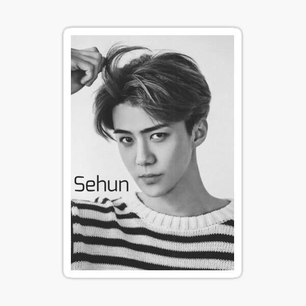 "EXO - Sehun" Sticker for Sale by BubbaBunny | Redbubble