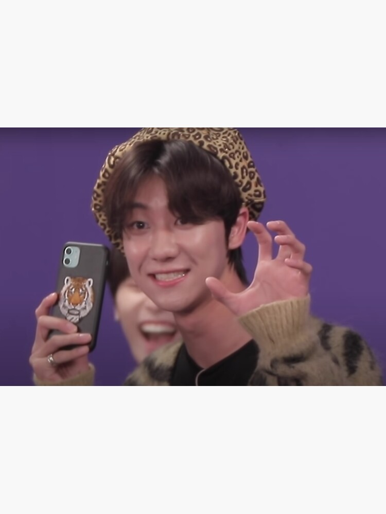 "Seventeen's The8 is a tiger" Sticker for Sale by MemeMeOnce | Redbubble