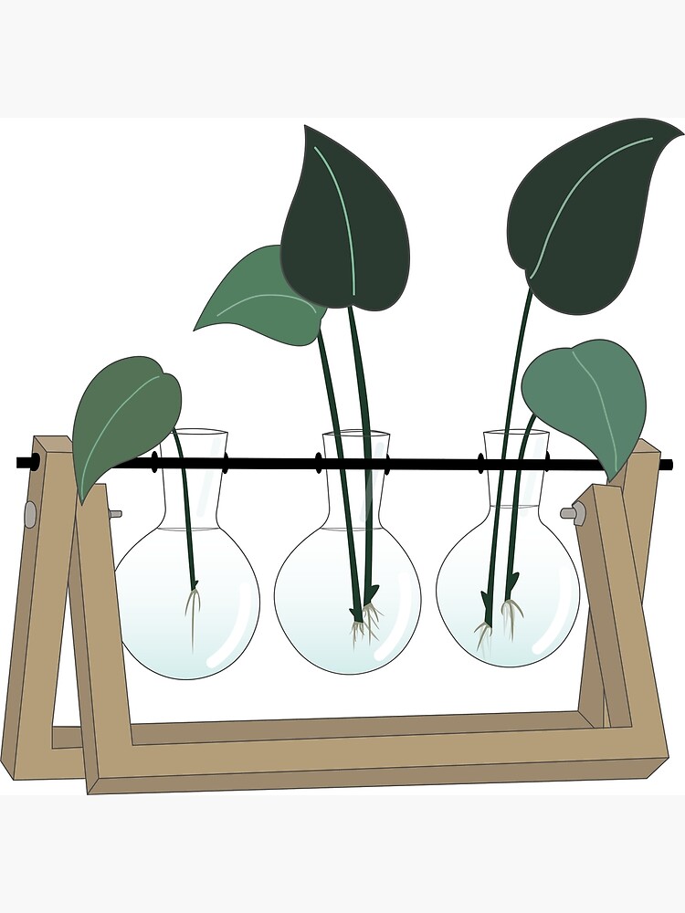 "Plant Propagation Station" Poster by SageandOak | Redbubble