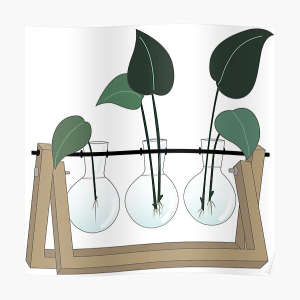 "Plant Propagation Station" Poster by SageandOak | Redbubble
