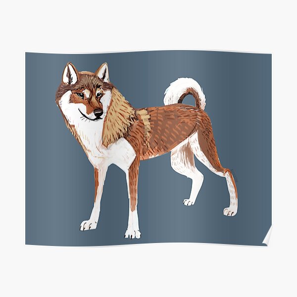"Shikoku Inu (Red)" Poster by belettelepink | Redbubble