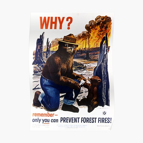 Forest Fire Prevention Posters | Redbubble