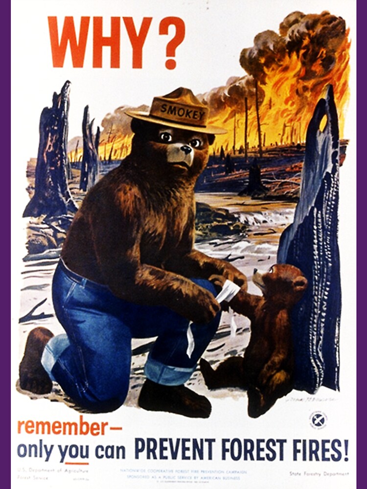 Only You Can Prevent Forest Fires! Classic T-Shirt