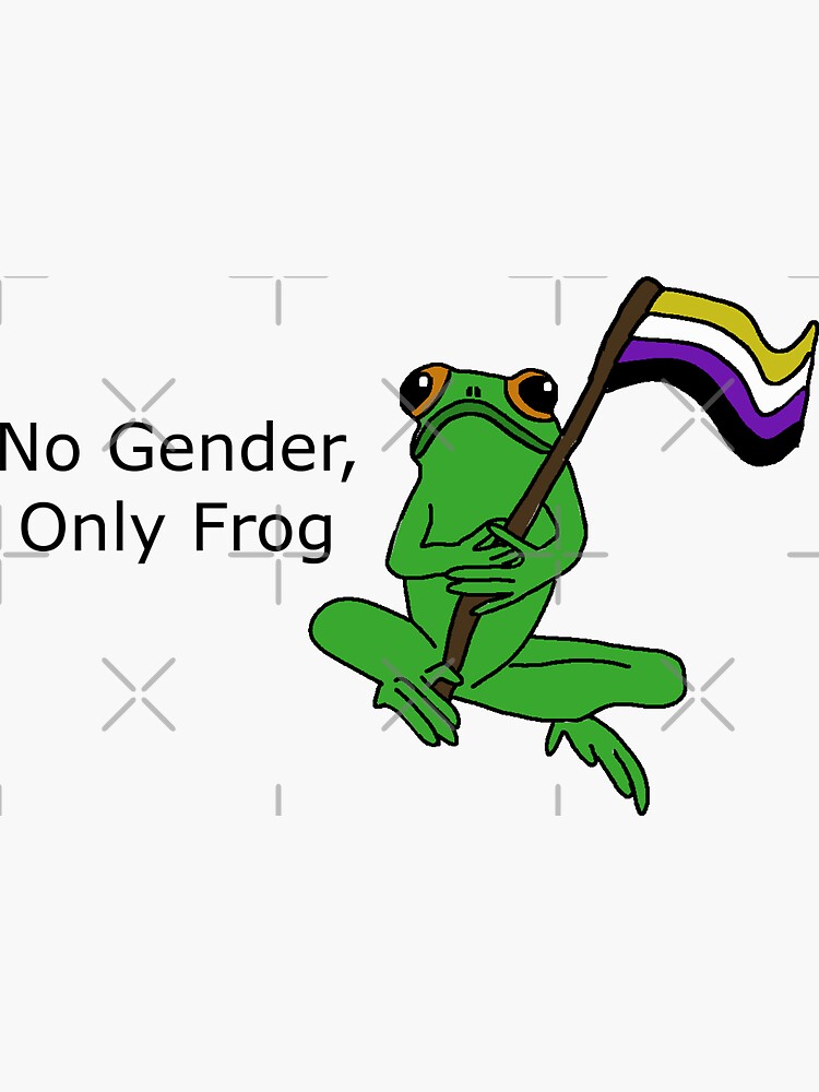 "No Gender, Only Frog | Non-binary Flag Frog | Enby Pride" Sticker for Sale by Turne875 | Redbubble