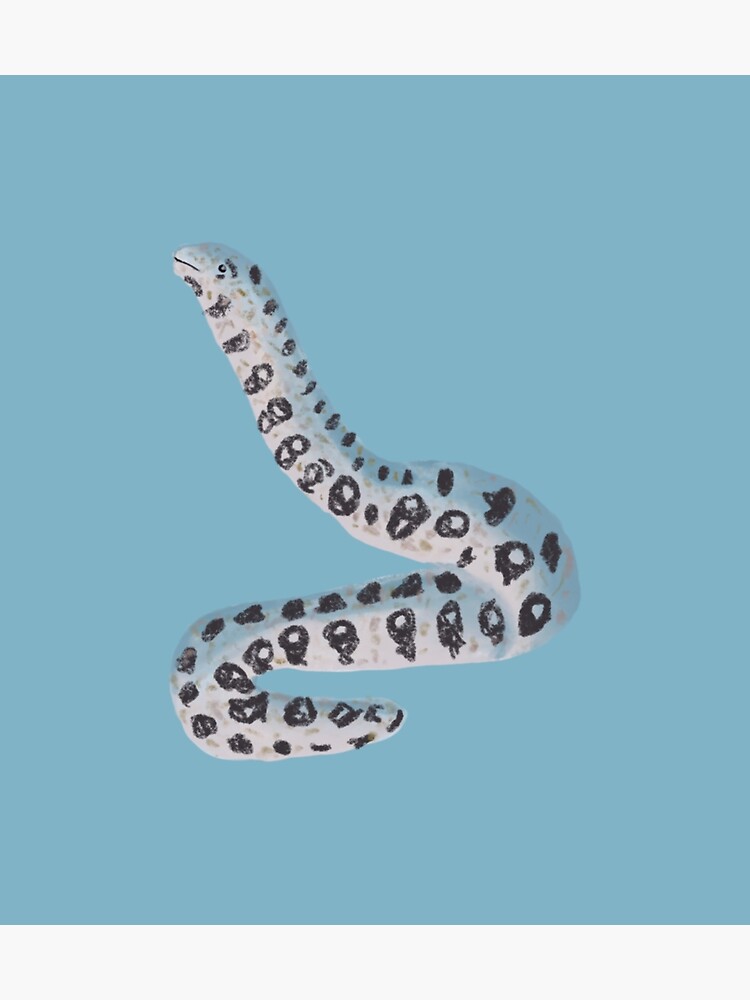 "Snowflake Eel" Poster by Squiddllr | Redbubble