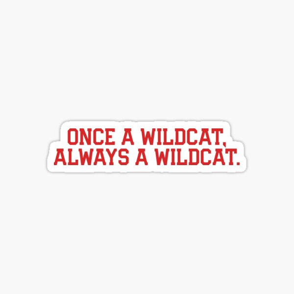 Hsm Wildcat Quotes Zac Efron #14 High School Musical Jersey Troy