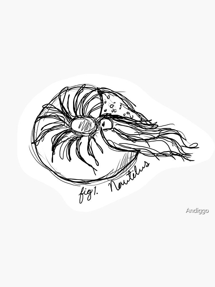 "Nautilus" Sticker for Sale by Andiggo | Redbubble