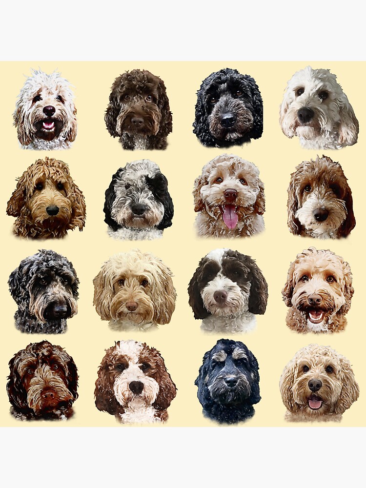 "Cockapoo & Doodle Dog Collection " Sticker for Sale by cockapoodled ...