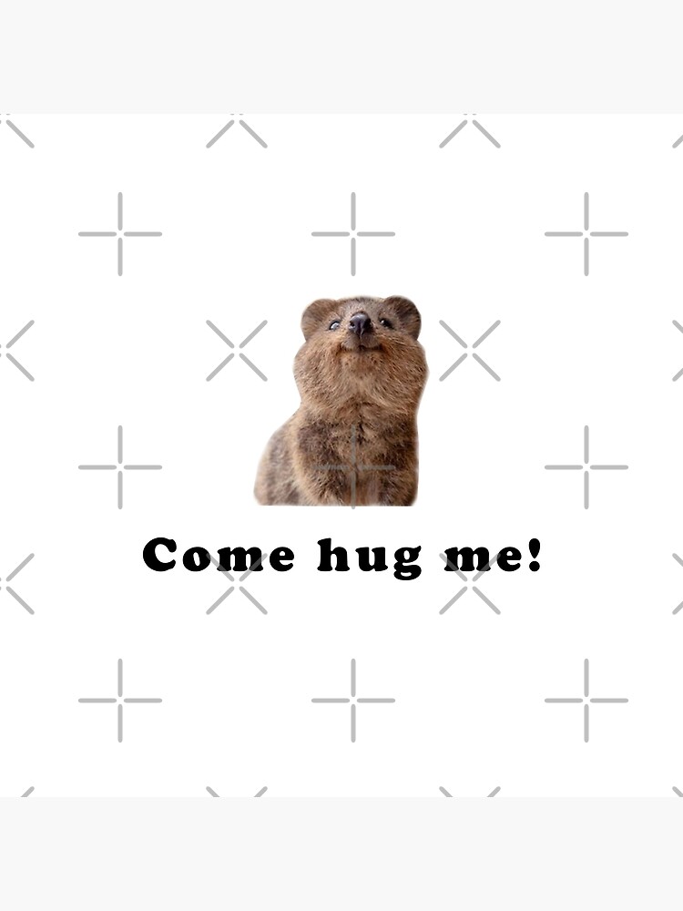 "Quokka Hug" Art Print for Sale by dimitar-pnankov | Redbubble