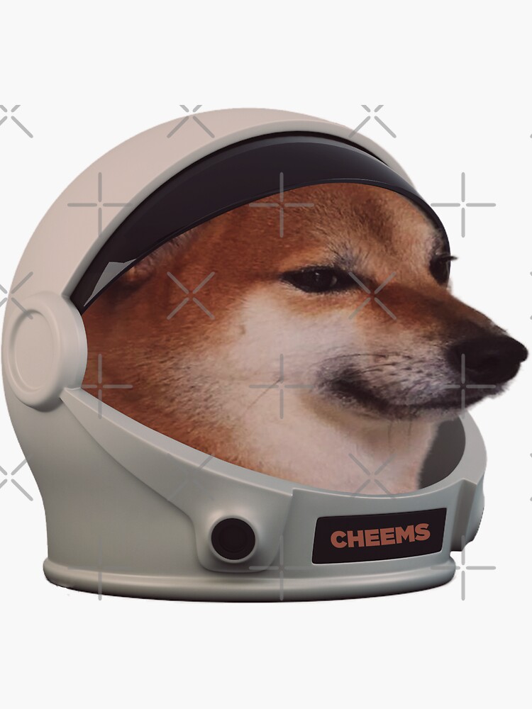 "Cheems dog" Sticker for Sale by nikolaj1301 | Redbubble