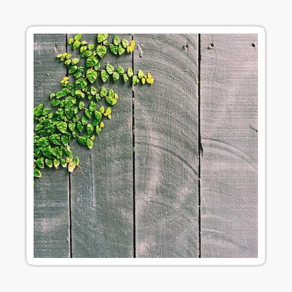 "Fence" Sticker for Sale by Bimsbums | Redbubble