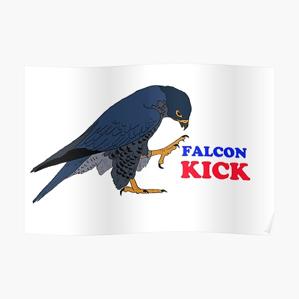 "Falcon Kick" Poster by Jlouieasy | Redbubble