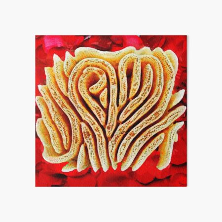 "Labyrinthus. Hic Habitat Minotaurus" Art Board Print by Scarabus ...