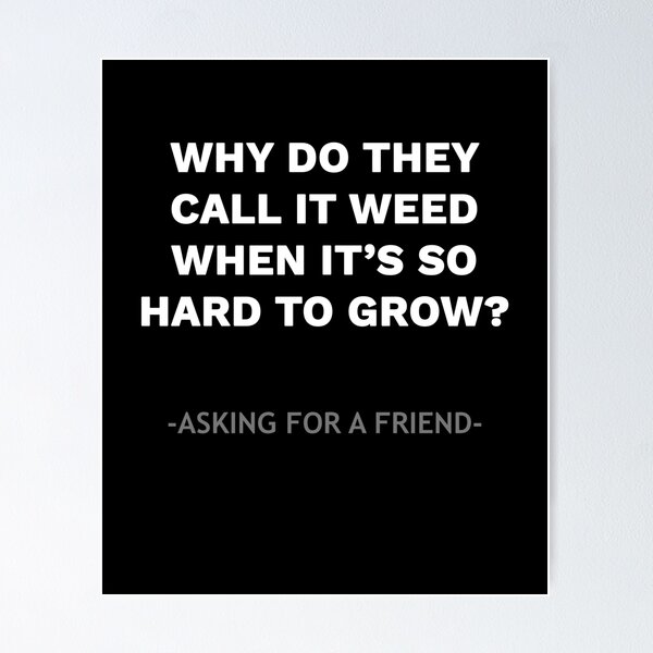 Famous Weed Quotes Funny Weed Quotes Posters For Sale | Redbubble