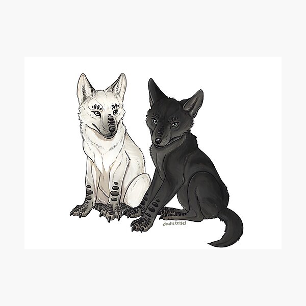 Loth Wolf Photographic Prints | Redbubble