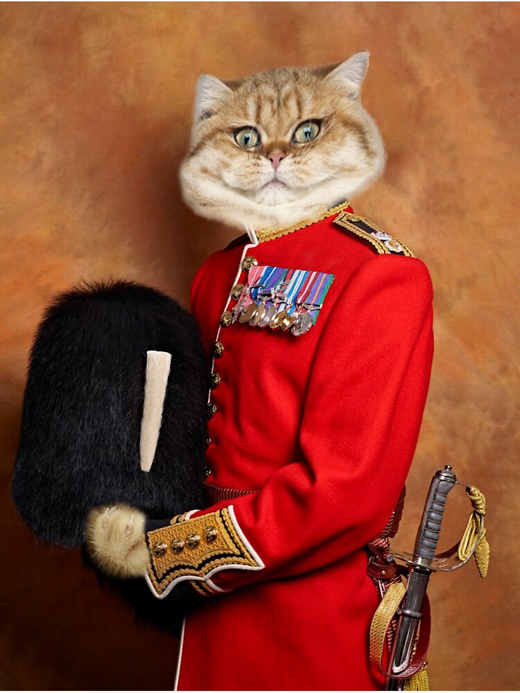 "Royal Guard Cat" Sticker for Sale by Craftirina | Redbubble
